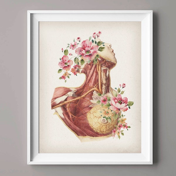 Breast Anatomy Poster - Etsy
