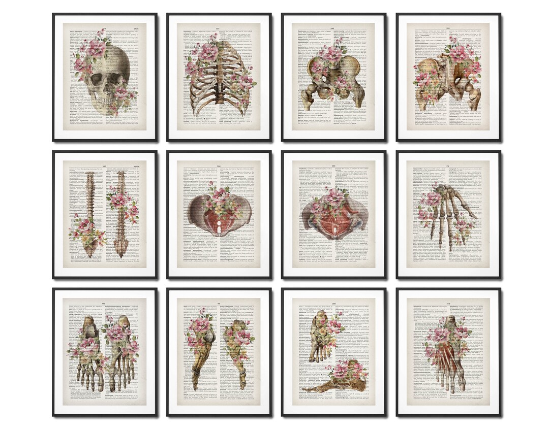12 Vintage Skeleton Anatomy Art Skeletal System Poster Medical Art ...