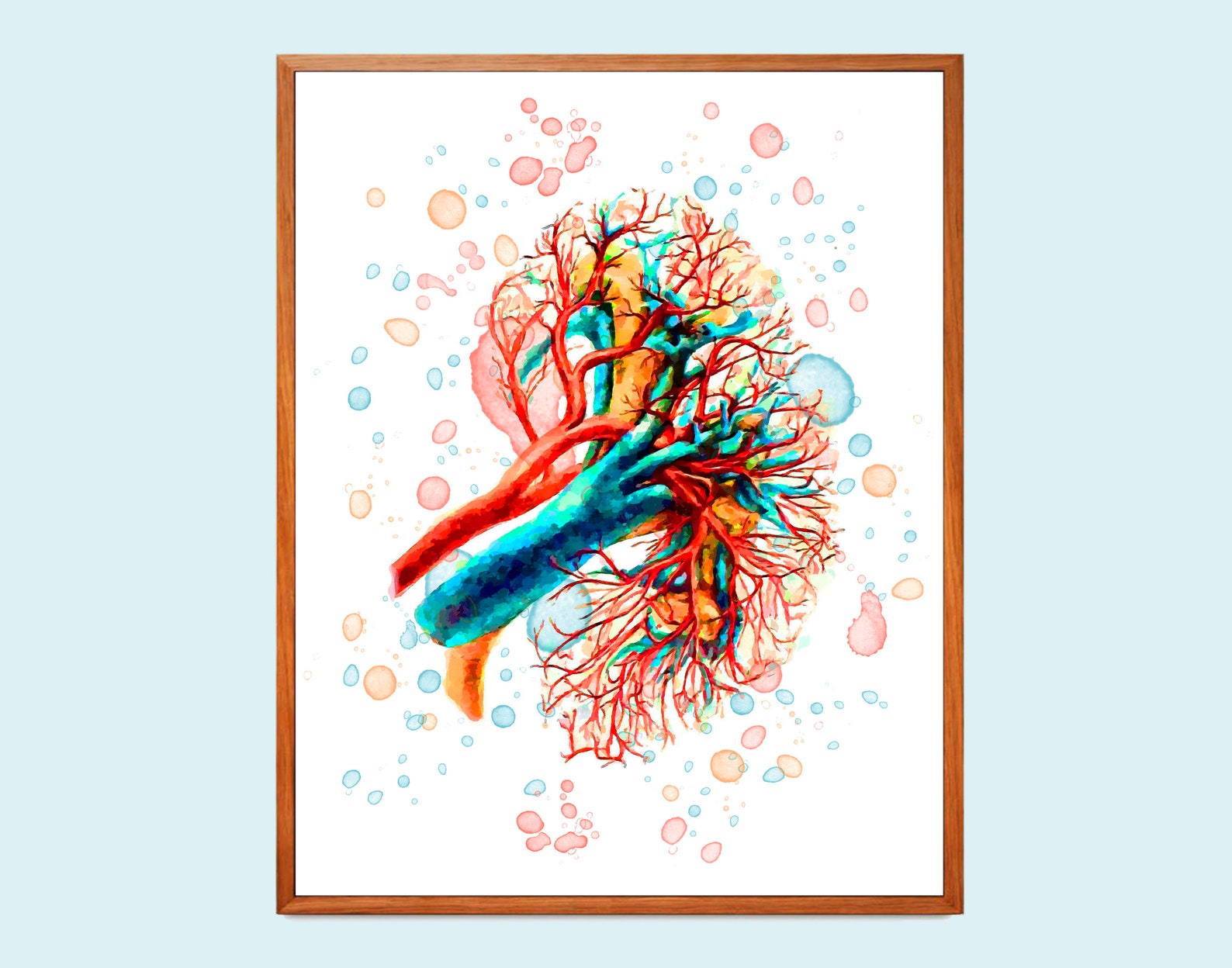 Kidney Art Anatomical Kidney Nephrology Art Watercolor - Etsy