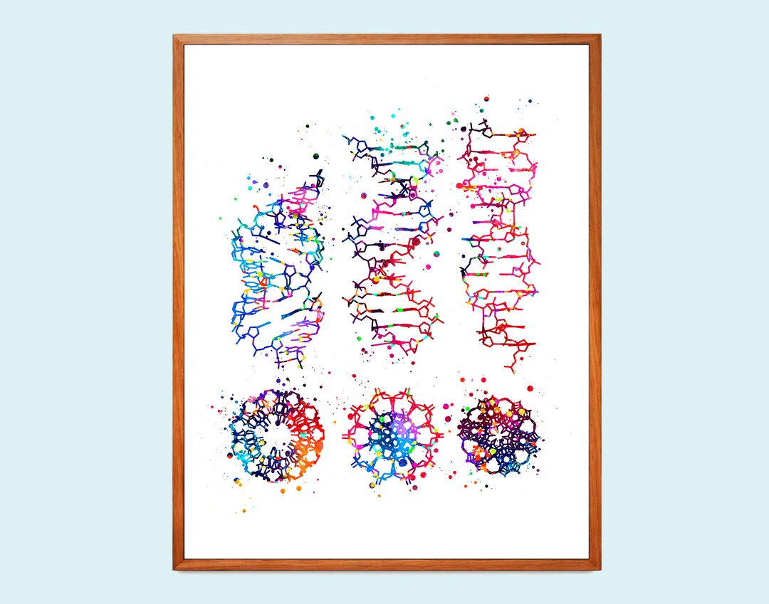 DNA Types Art Print, Dna Molecule, DNA Structure, Microbiology Poster ...
