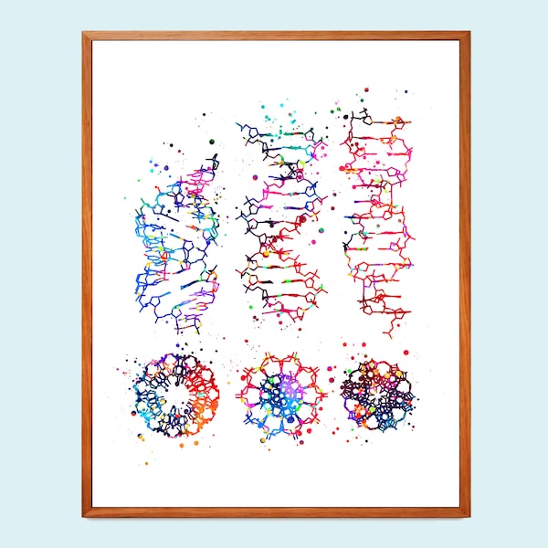 Microbiology Poster - Etsy