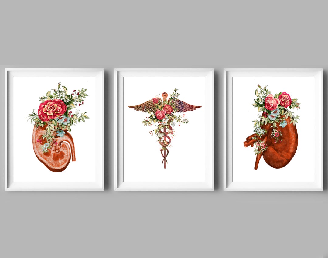 3 Nephrology Art Kidney Anatomy Art Caduceus Art Nephrologist Gift ...