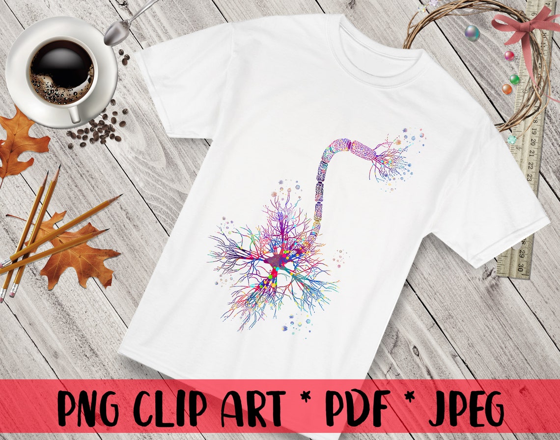 Motor Neuron Clipart Neuron Cell PNG Neurology Art Science - Etsy