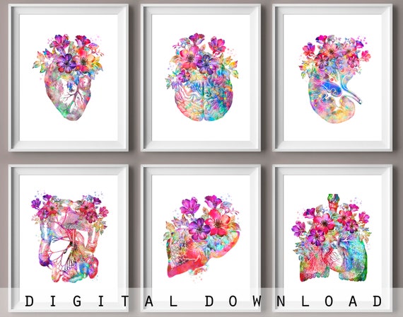 6 Human Organ Anatomy Art Watercolor Medical Art Floral Heart | Etsy