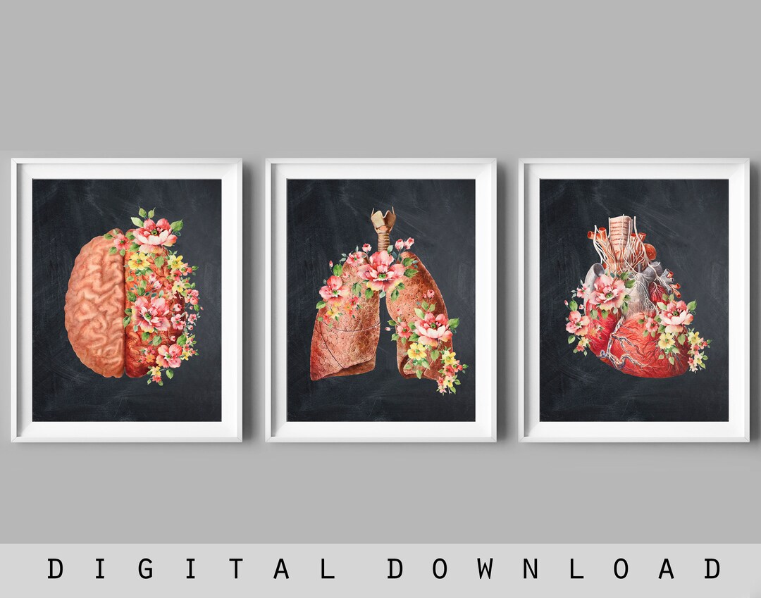Anatomical Art Chalkboard Medical Art Anatomical Brain Heart Lungs Art ...