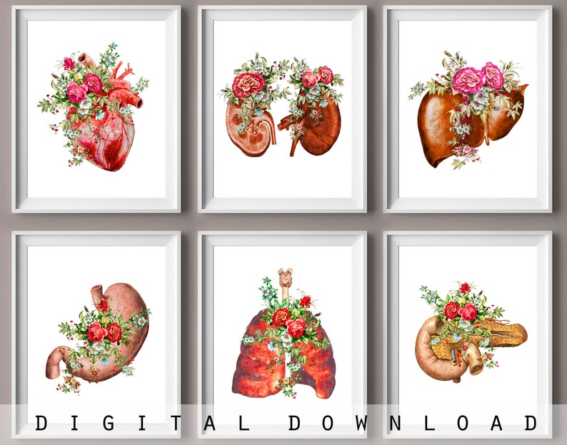 Set 6 Human Anatomy Floral Heart Brain Wall Art Medical Theme - Etsy