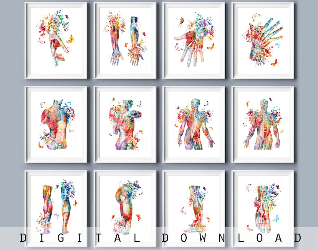 Floral Anatomy Watercolor Art Prints: Muscular System Decor (digital ...