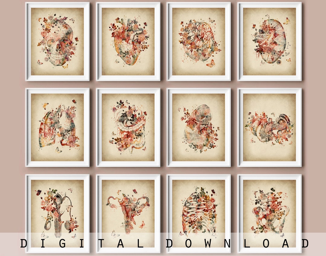 Medical Art Set of 12 Human Anatomical Organs, Floral Anatomy Drawing ...