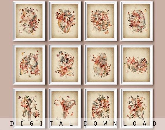 Medical Art Set of 12 Human Anatomical Organs Floral Anatomy | Etsy