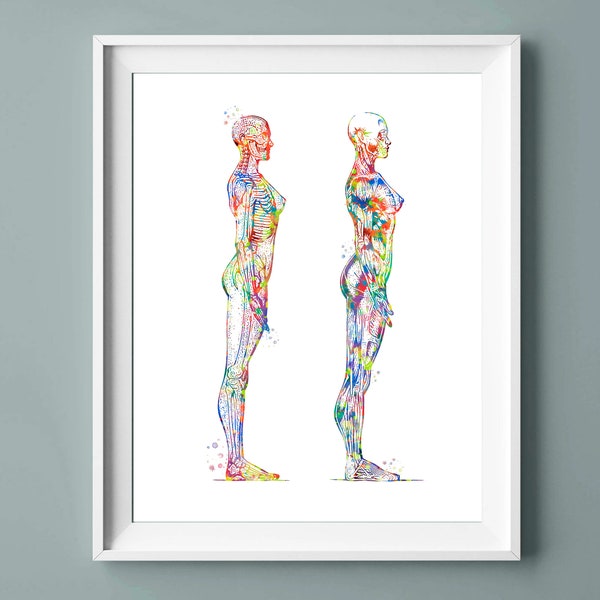 Female Anatomy Diagram - Etsy