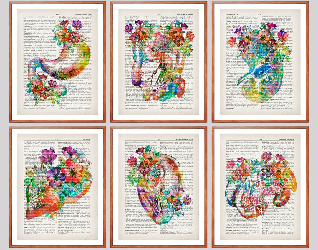 6 Floral Digestive System Anatomy Art Dictionary Art Medical Art ...