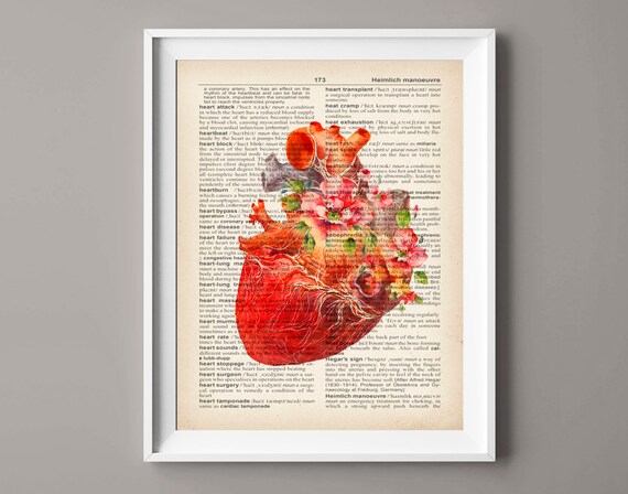 Anatomisch Correcte Hartkunst Nieuw Type Kunsthart | NTVG