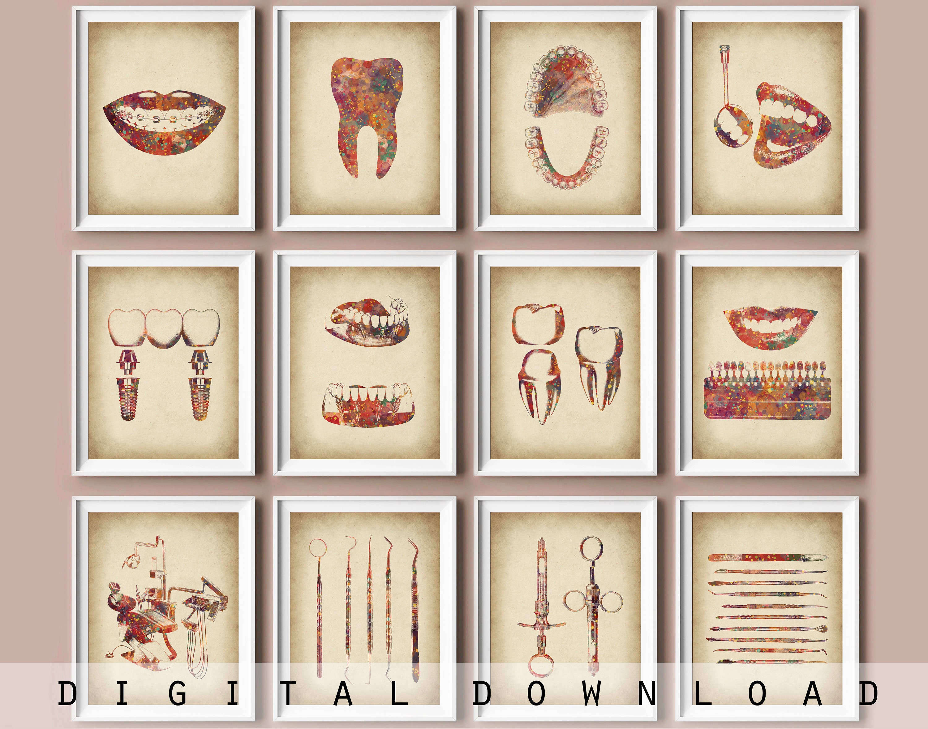 Vintage Teeth Anatomy