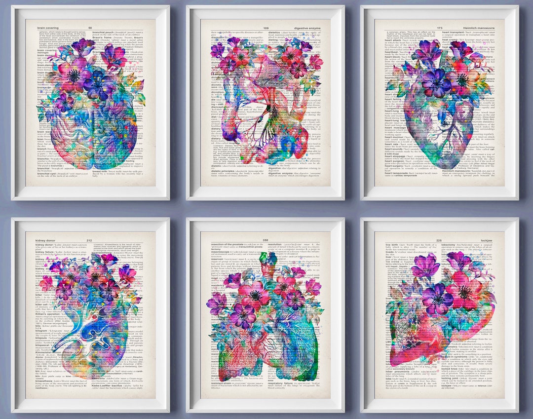 6 Watercolor Anatomy Art Medical Wall Decor Biology Poster Clinic Wall ...