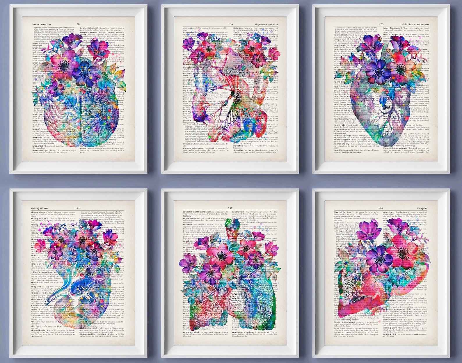 6 Watercolor Anatomy Art Medical Wall Decor Biology Poster - Etsy