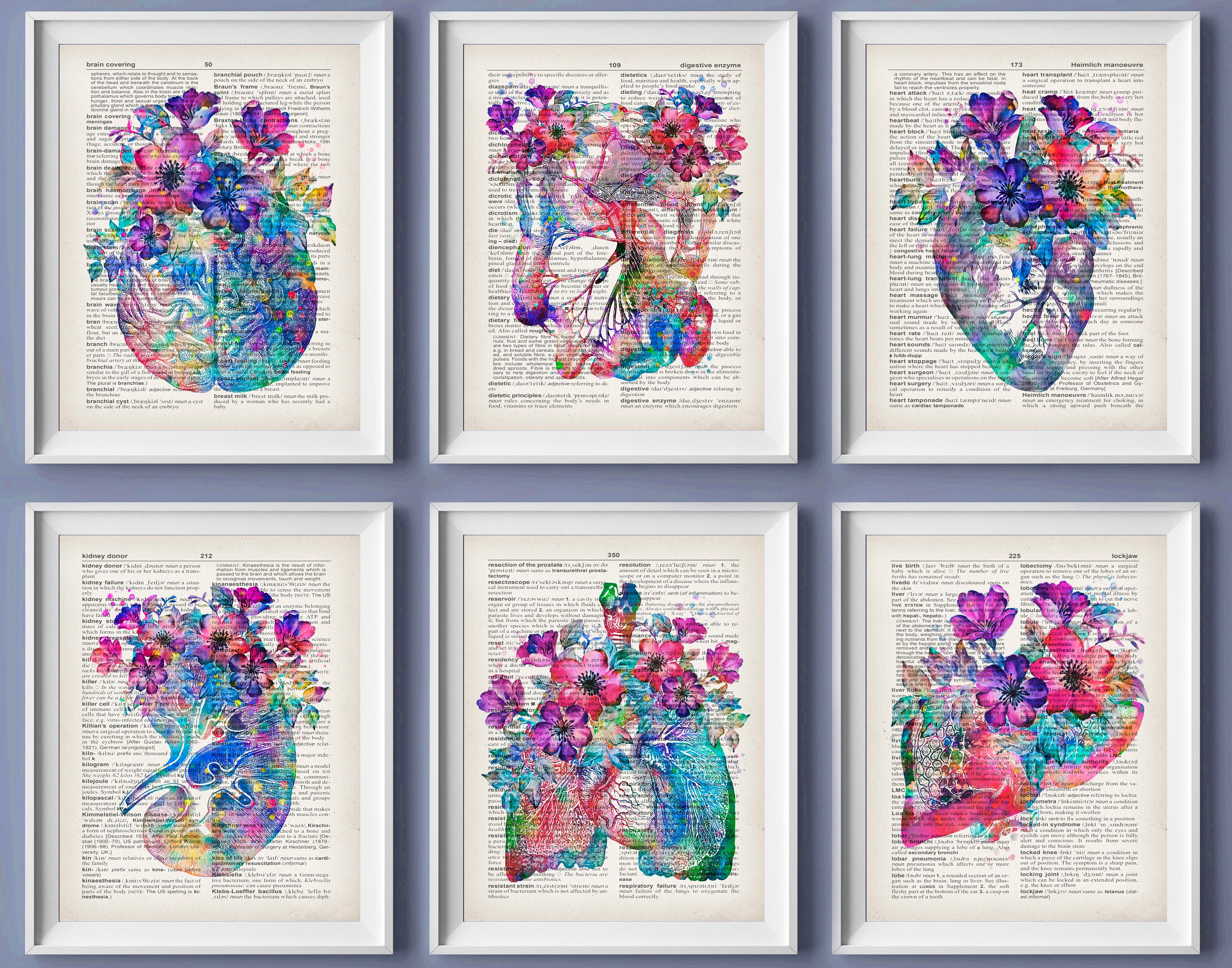 6 Watercolor Anatomy Art Medical Wall Decor Biology Poster Clinic Wall ...
