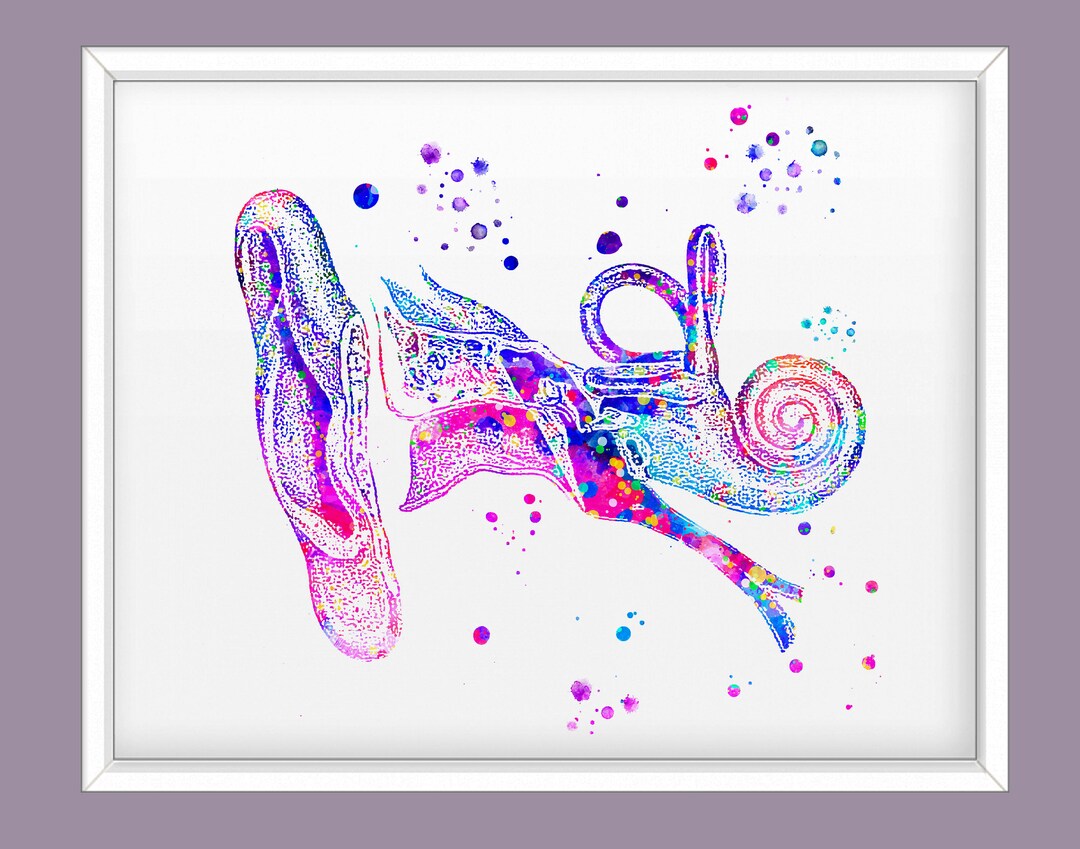 Inner Ear Anatomy Poster Audiology Art Medical Art Hearing System Print ...