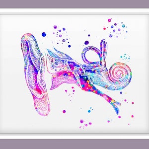 Inner Ear Anatomy Poster Audiology Art Medical Art Hearing System Print ...