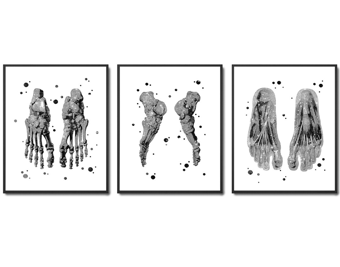 3 Foot Anatomy Art Orthopedic Poster Medical Art Foot Bones Diagram ...