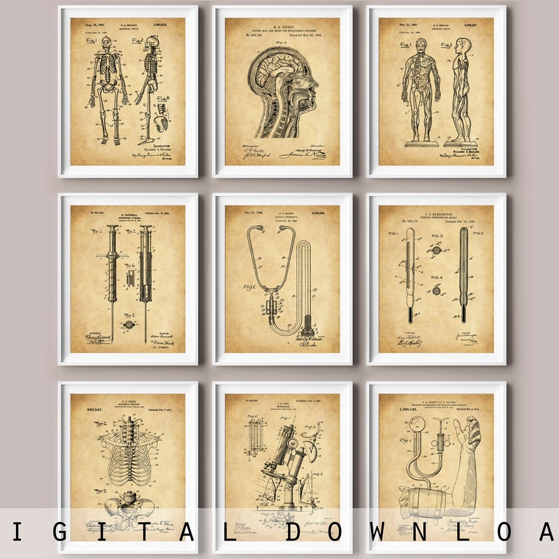 Medical Art - Etsy
