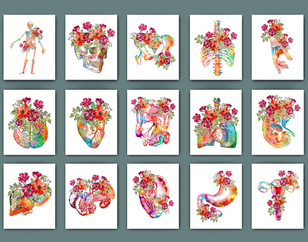 Watercolor Anatomy Set of 15 Art Floral Art Medical Decor Physiology ...