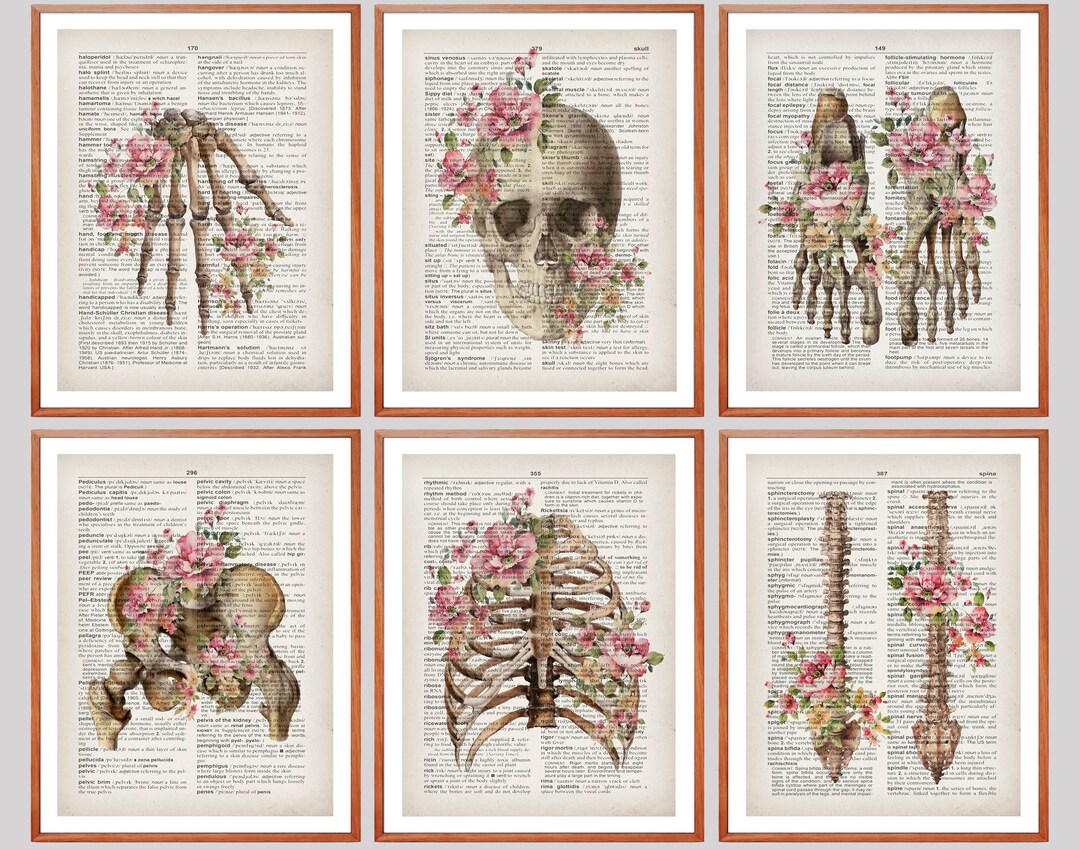 6 Floral Skeleton Anatomy Artworks Medical Dictionary Page Painting ...