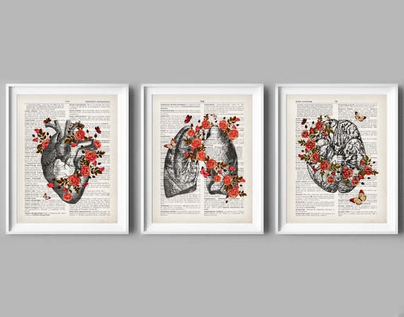 Vintage Anatomy Set Anatomical Poster Medical Decor Doctor - Etsy