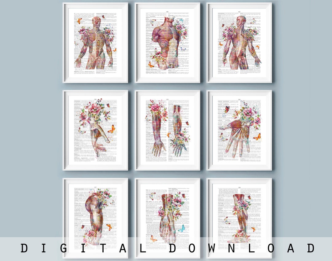 9 Watercolor Anatomy and Flower Artwork Muscular System Painting ...