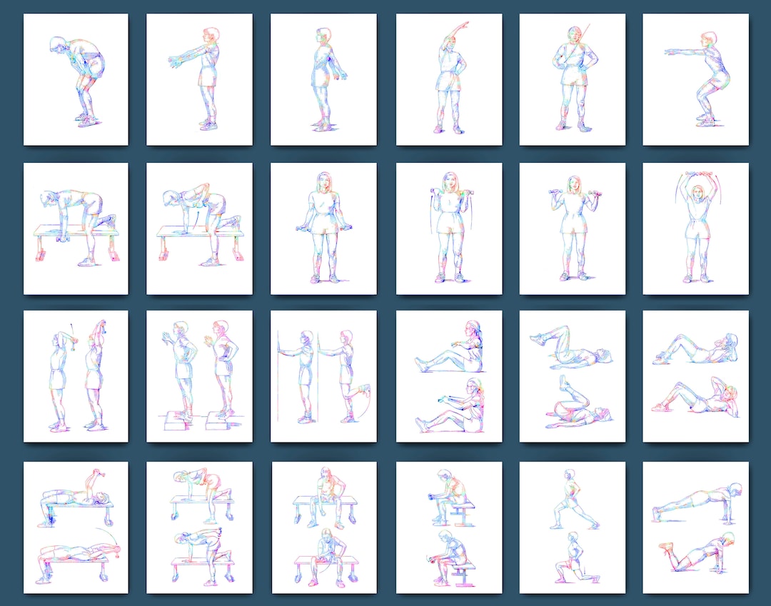 24 Basic Fitness Exercises Art Sports Artwork Workout Exercises Art ...