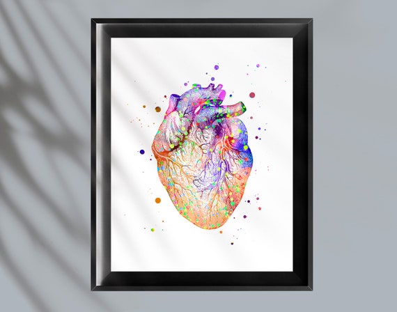 Illustrazione Medica Del Cuore Immagini Stock Anatomia Del Cuore