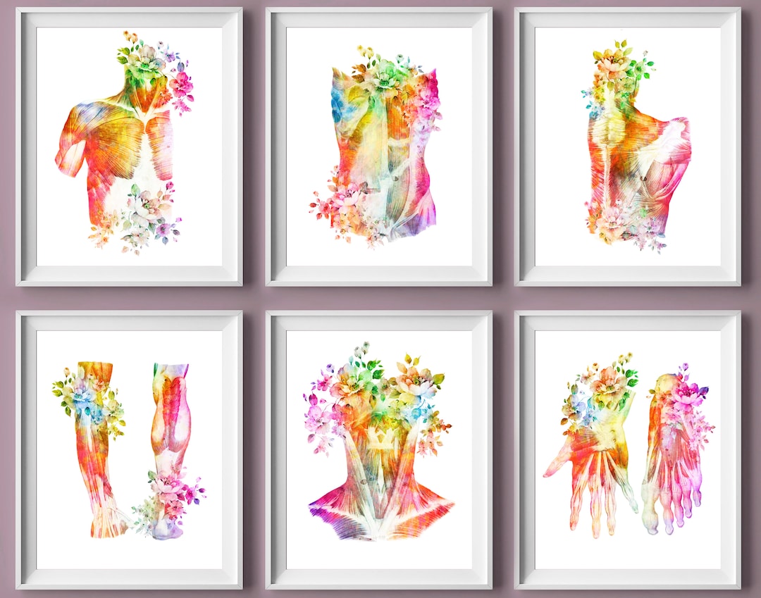 Set 6 of Colorful Anatomy Art Human Muscular System Painting Floral ...