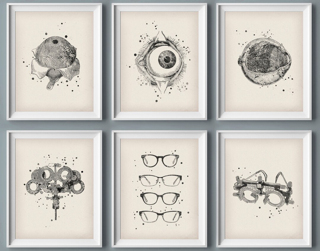 6 Vintage Optometry Posters Optometrist Gift Eye Anatomy - Etsy