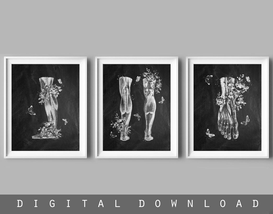 Podiatry Art Foot Anatomy Chalkboard Art Foot Muscles - Etsy