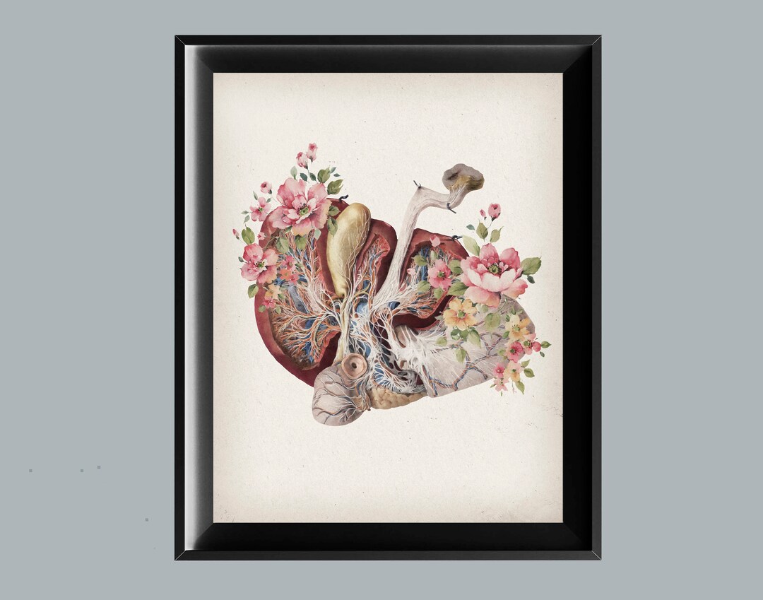 Floral Human Liver Art Medical Artwork Gastroenterologist Gift ...