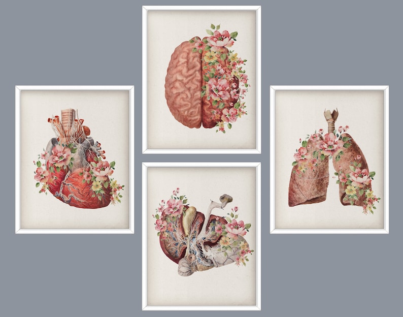 4 Vintage Anatomy Art Human Physiology Art Medical Artwork - Etsy