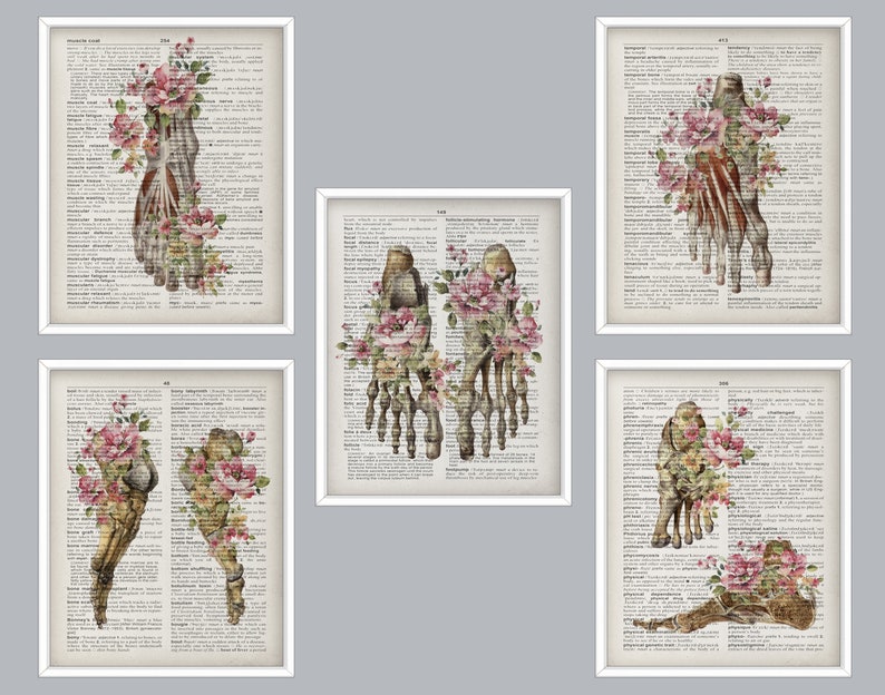 5 Vintage Orthopedic Anatomy Art Foot Anatomy Poster Podiatry - Etsy