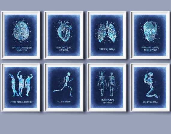 8 Physiology Art Human Anatomy Art Great Latin Quotes | Etsy