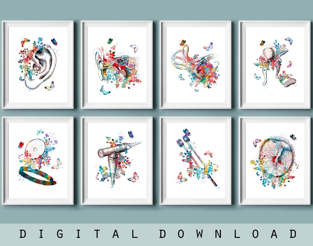 8 Human Ear Anatomy Art Ear Inner Structure Organ of Hearing Poster ...