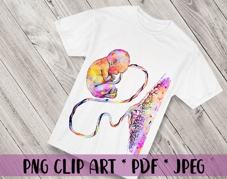Watercolor Fetal Development Clipart Fetus PNG Umbilical Cord - Etsy ...