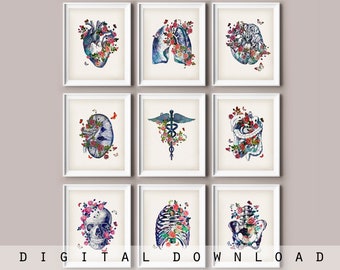 Set 3 Vintage Anatomy Art Medical Decor Doctor Gift Anatomical - Etsy