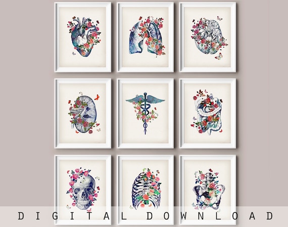 Set 9 Vintage Anatomy Decor Human Floral Organ Art Medical - Etsy