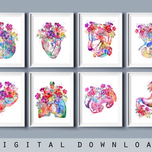 Human Organ Art Set 8 Watercolor Anatomy Drawing Medical Decor Surgeon ...