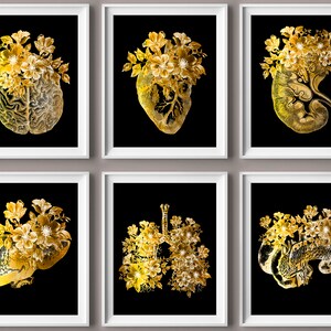6 Floral Anatomy Art Gold Black Medical Decor Human Physiology Artwork ...