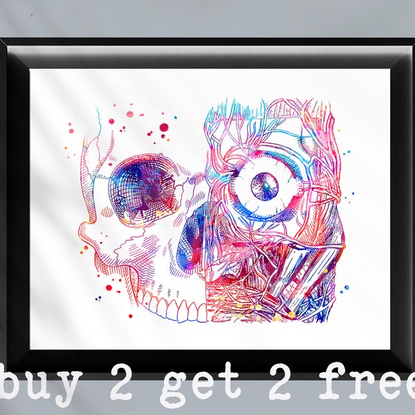 Skull Diagram - Etsy