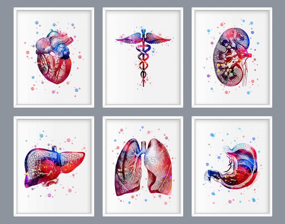 6 Doctor Graduation Medical Artwork Caduceus Art Anatomy Art Anatomical ...