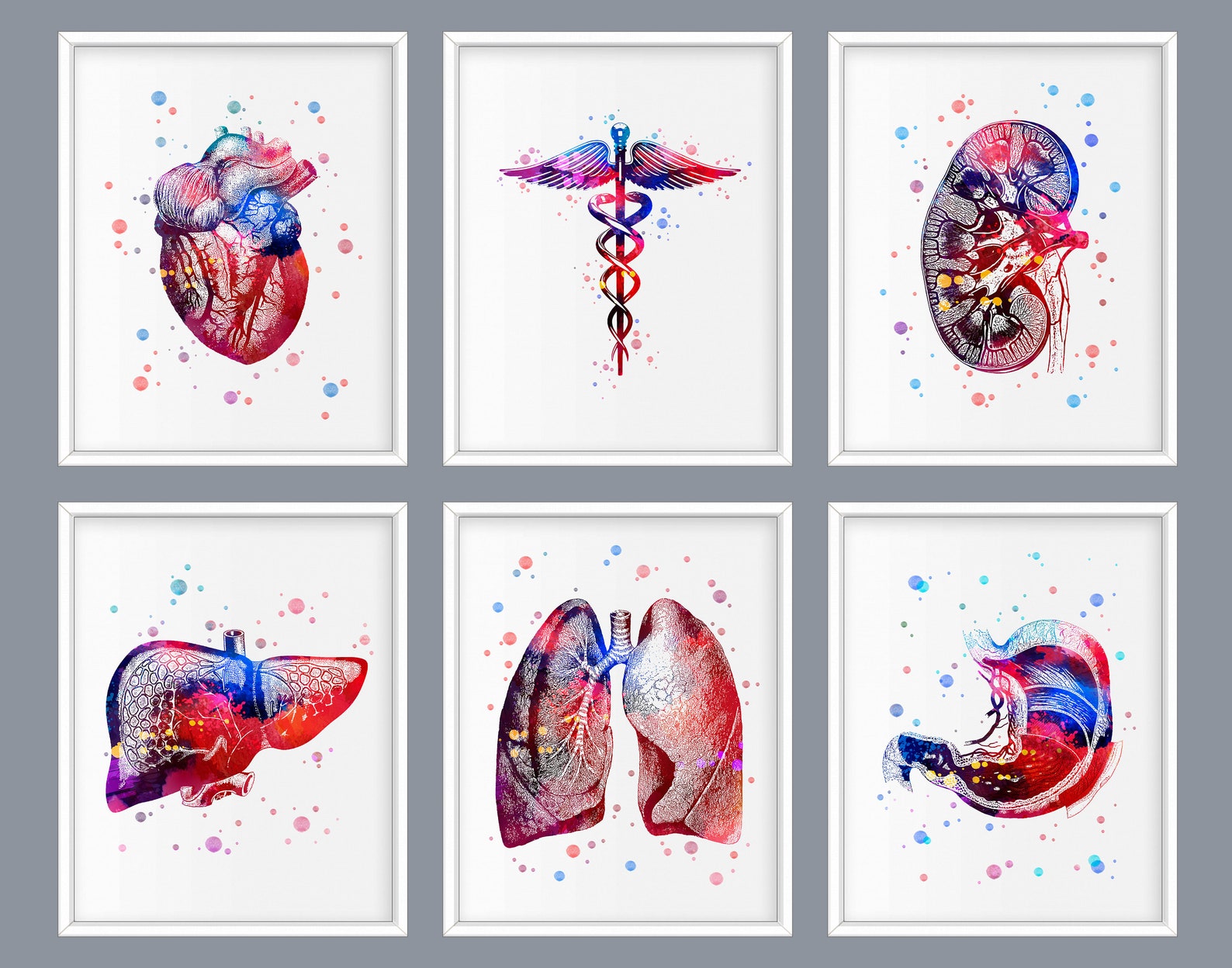 6 Doctor Graduation Medical Artwork Caduceus Art Anatomy Art Anatomical ...