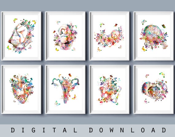 8 Infant Art Fetus Art Baby Newborn Art Obgyn Art Pregnancy - Etsy