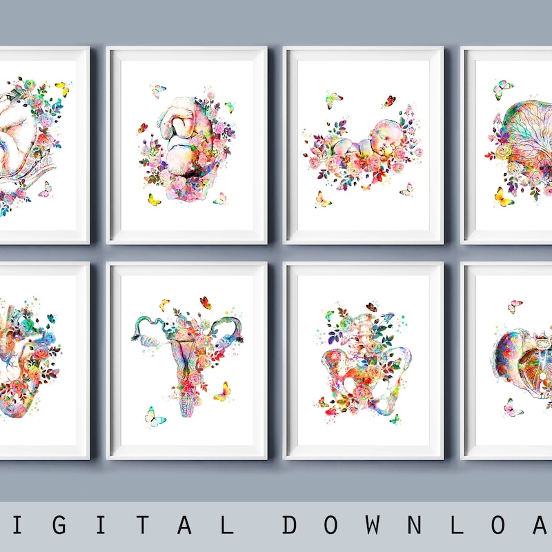 Fetus Art - Etsy