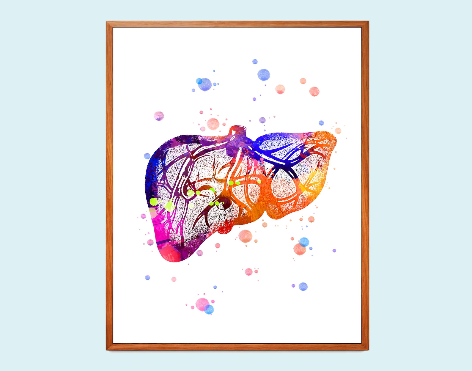 Human Liver Anatomy Art Watercolor Artwork Internal Organs - Etsy