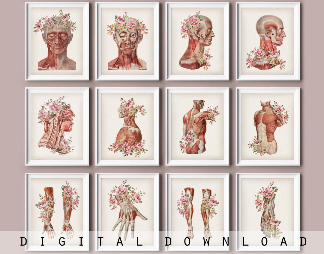 12 Vintage Anatomy Decor Human Head Poster Medical Art Anatomy ...
